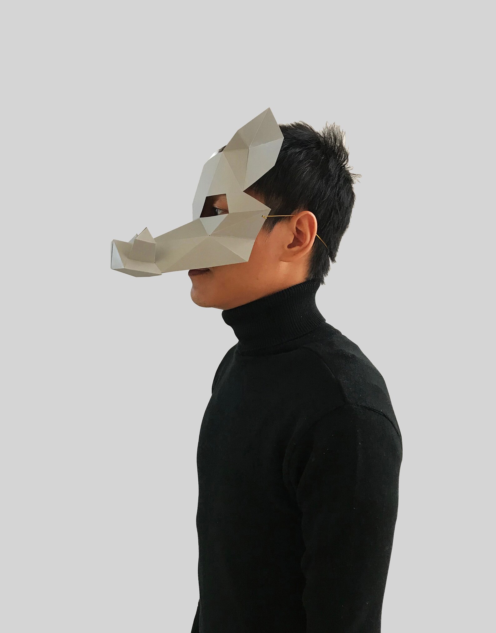 Little Warthog Mask Template Paper Mask Papercraft Mask - Etsy