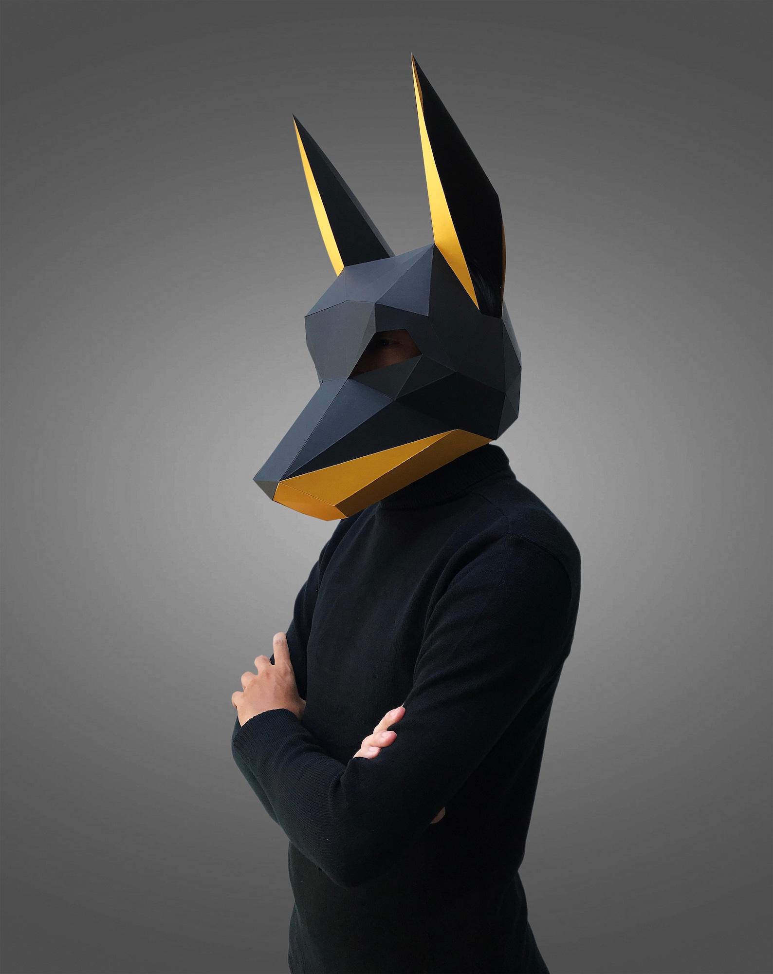 Dog Mask Template Paper Mask Papercraft Mask Masks 3d - Etsy