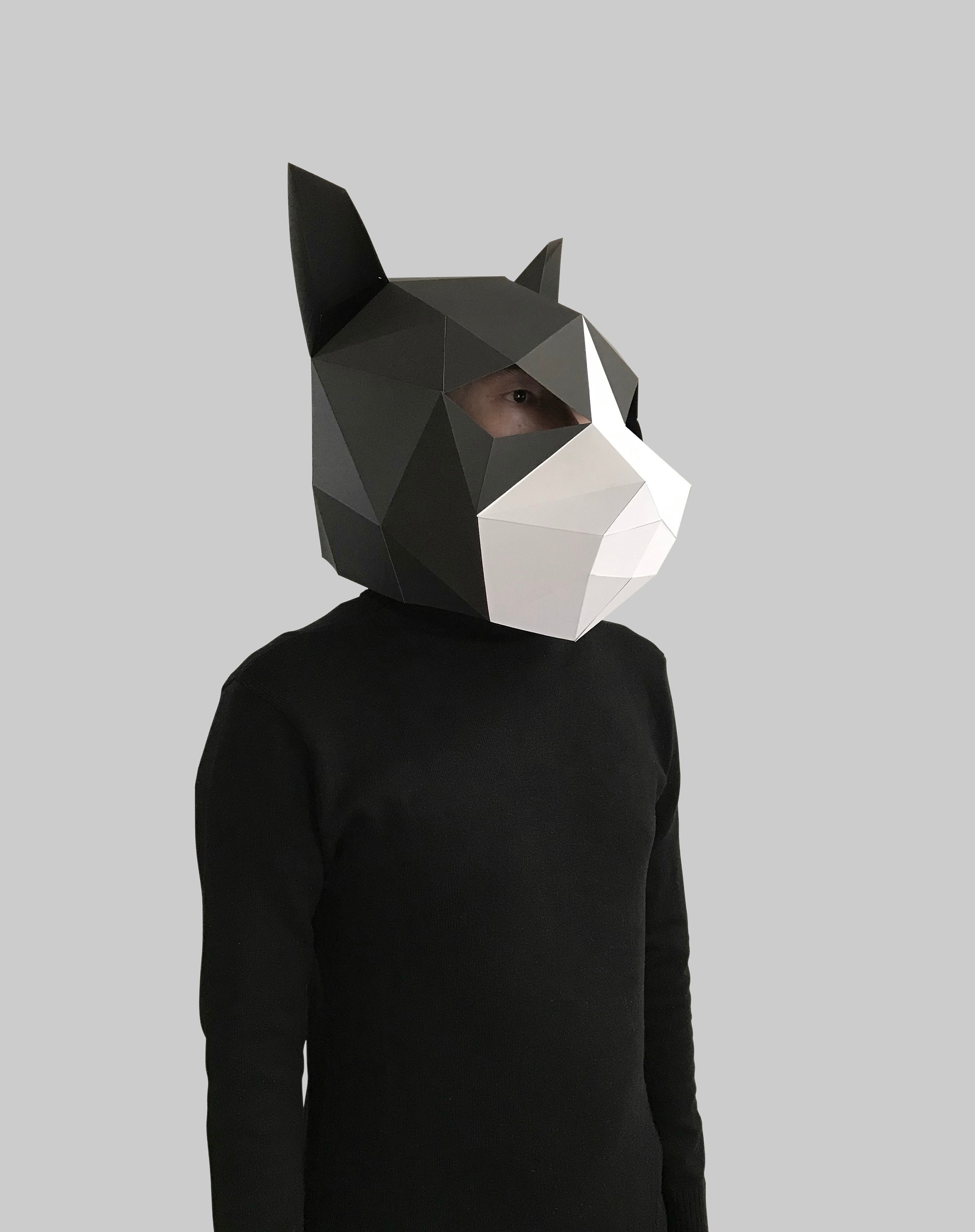 Cat Mask Template Paper Mask Papercraft Mask Masks 3d Etsy