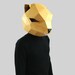 Beaver Mask Template Paper Mask, Papercraft Mask, Masks, 3d Mask, Low ...