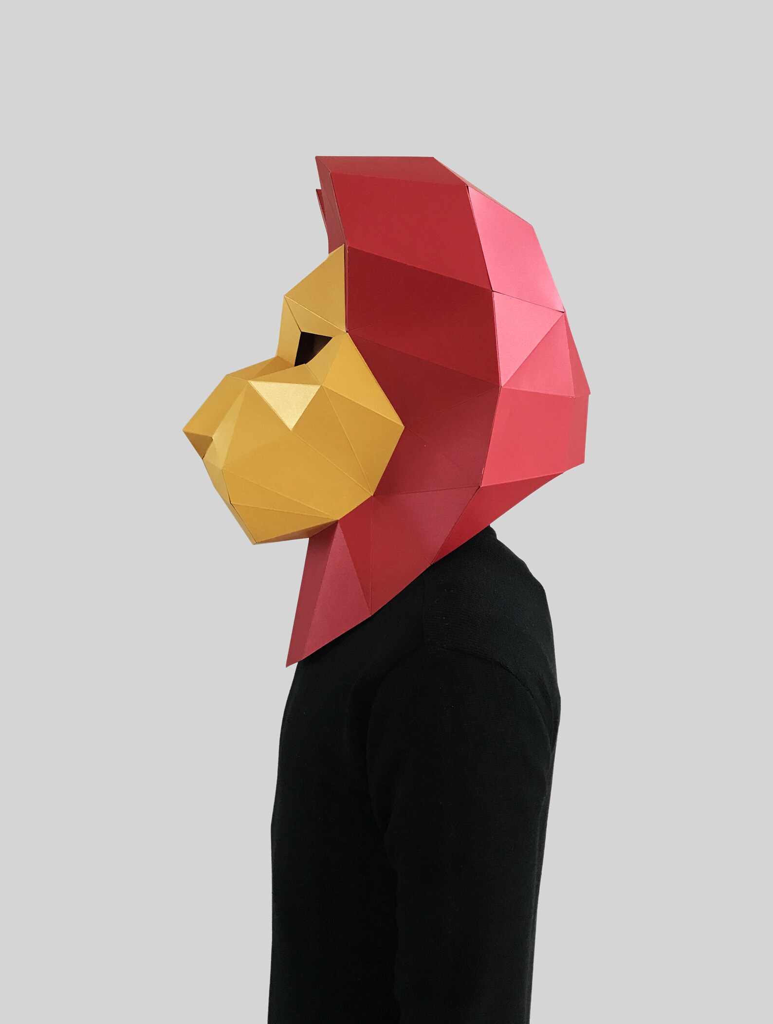 Lion King Mask Template Style 2 Paper Mask Papercraft Mask - Etsy