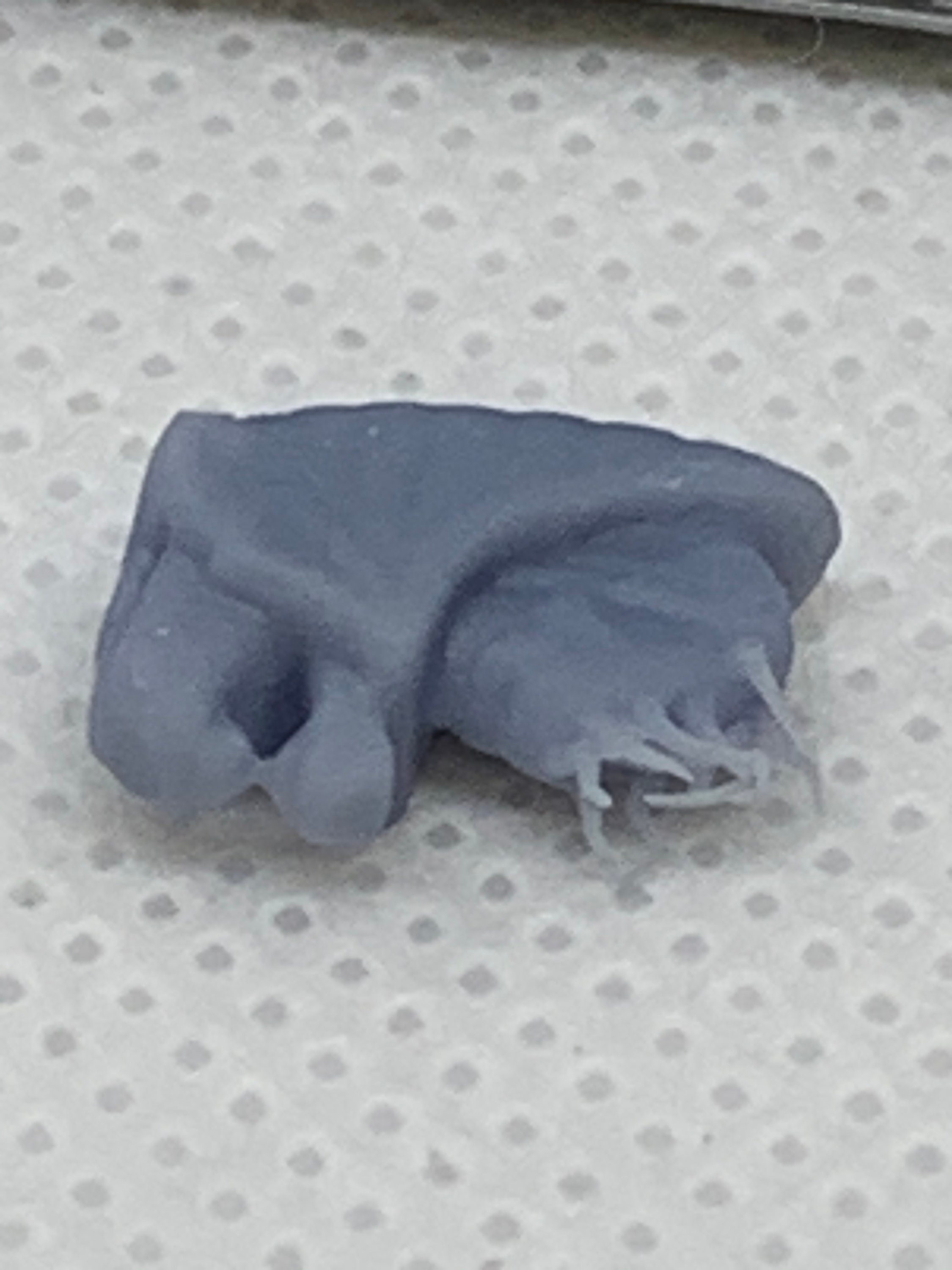 Lord Drakkon Beheaded Saba Lightning Scale Collection Power | Etsy