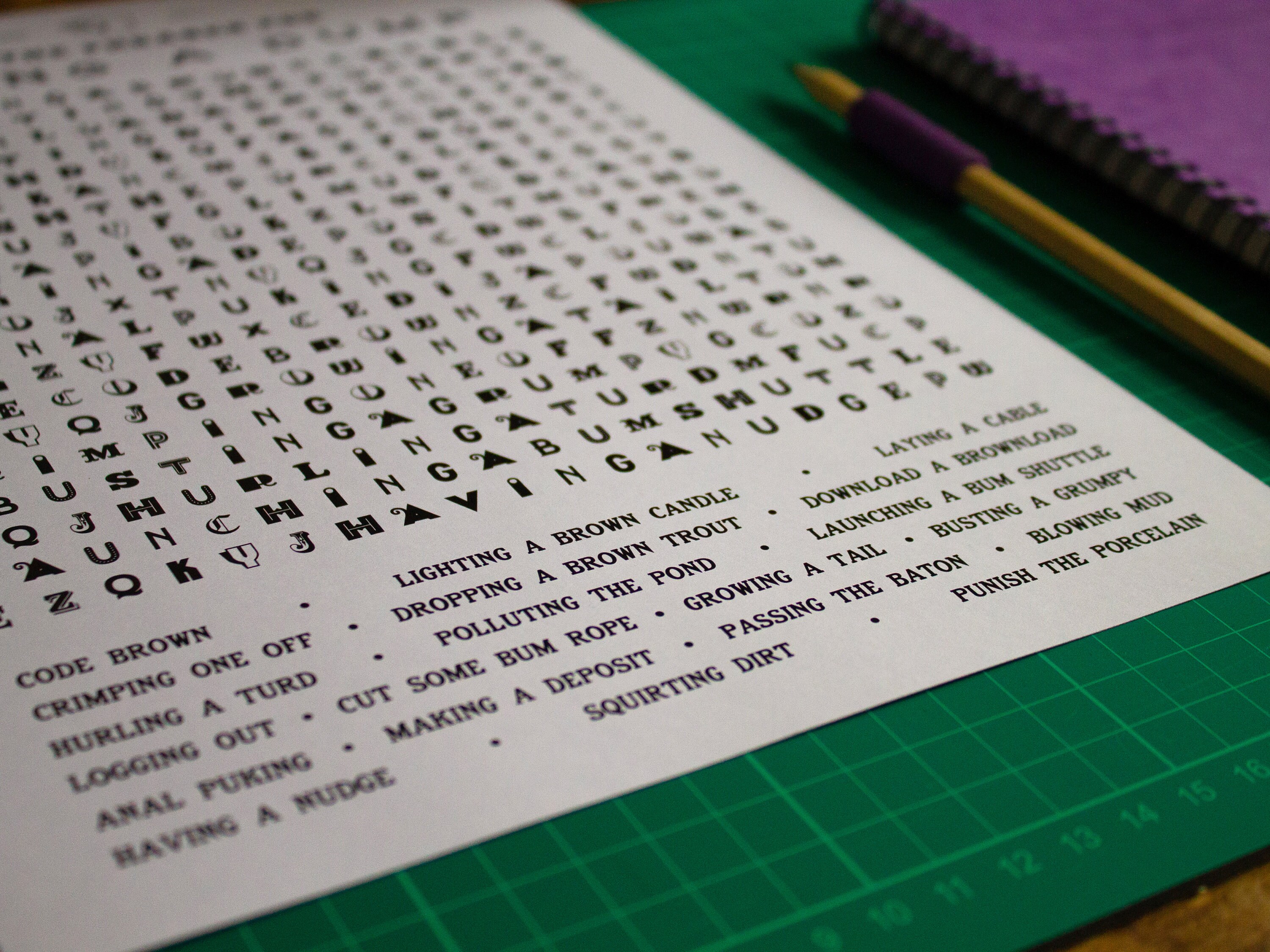 Having a Dump Wordsearch - Etsy