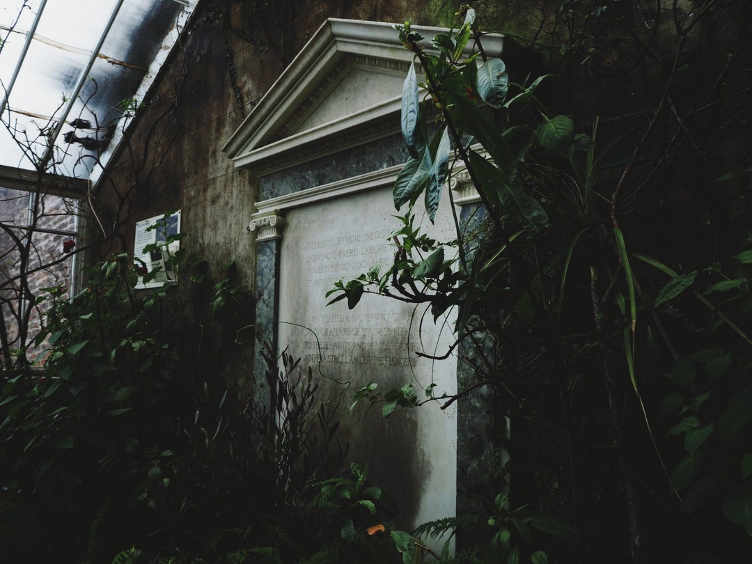 Wallington Hall Fountain - Etsy