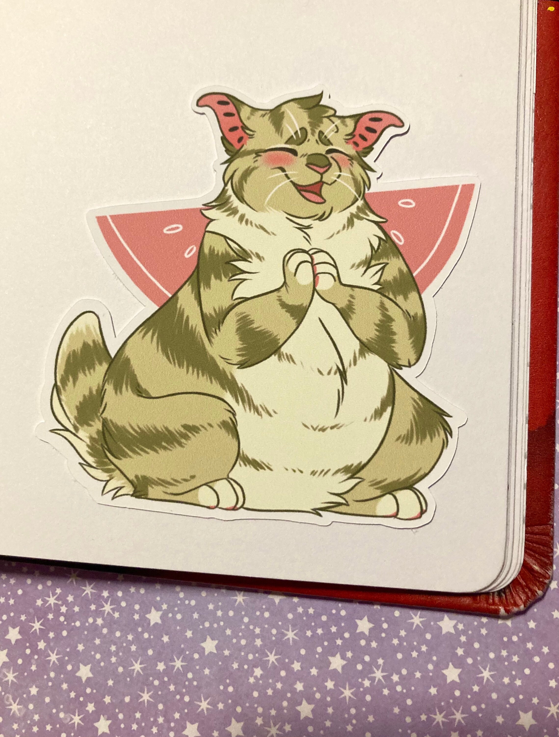 Watermelon Cat Matte Vinyl Sticker Fruit Cat Cute Cat | Etsy