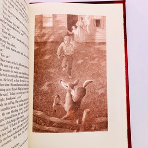 The Yearling. by Marjorie Kinnan Rawlings. Illustrations by Thomas B ...