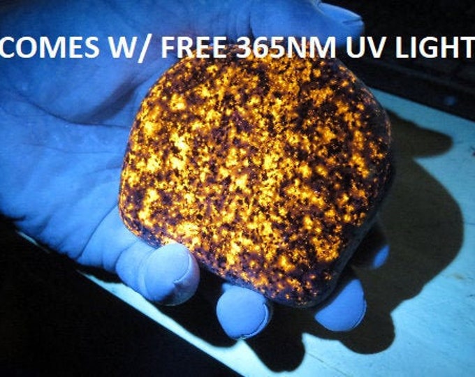 Emberlite, 15.575oz, Free UV Light, FS Hunter, 365nm, Fluorescent ...