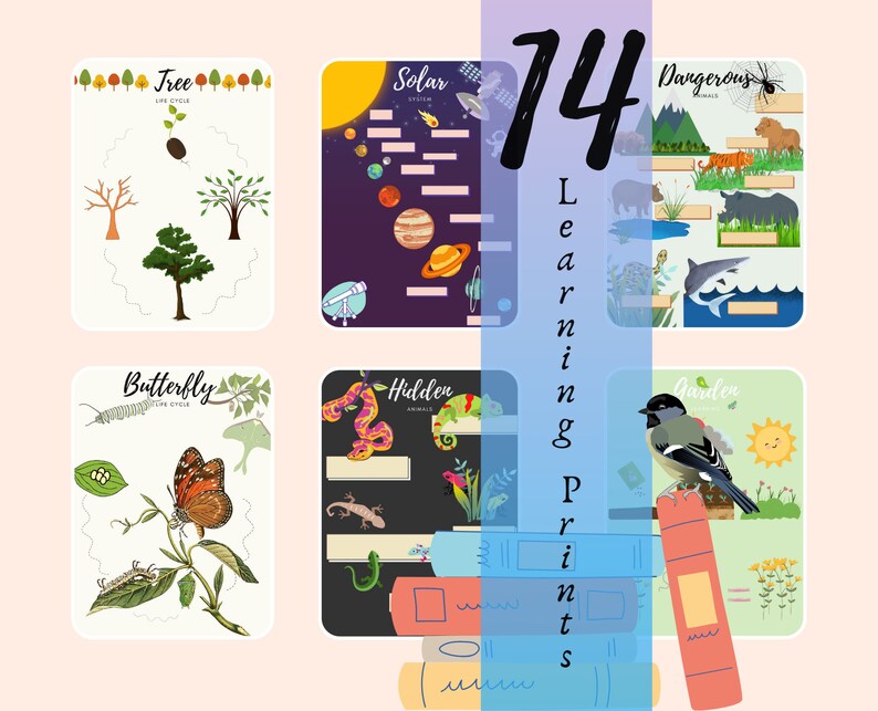 Set of Educational Posters, Learn Animals- Habitats- Life Cycle- Solar ...