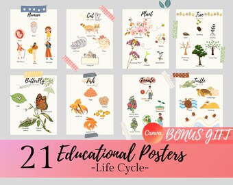 Life Cycle Posters for Kids - Etsy