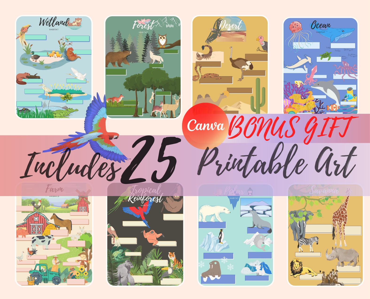 Set of Educational Posters Learn Animals Habitats Life - Etsy