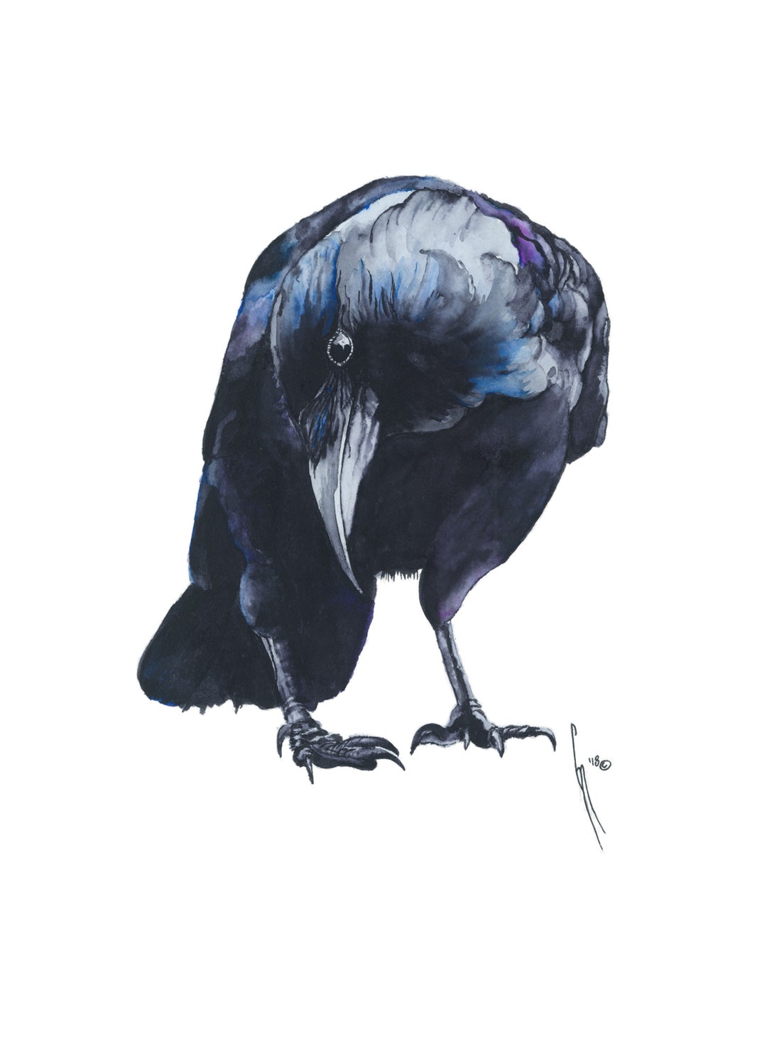 Watercolor Crow Art Print, Bird Illustration - Etsy