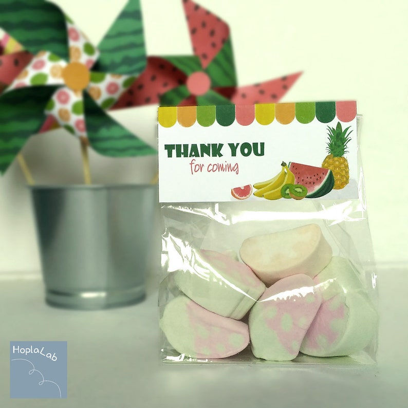 PRINTABLE FRUIT BOX for tutti Frutti Party Gift - Etsy