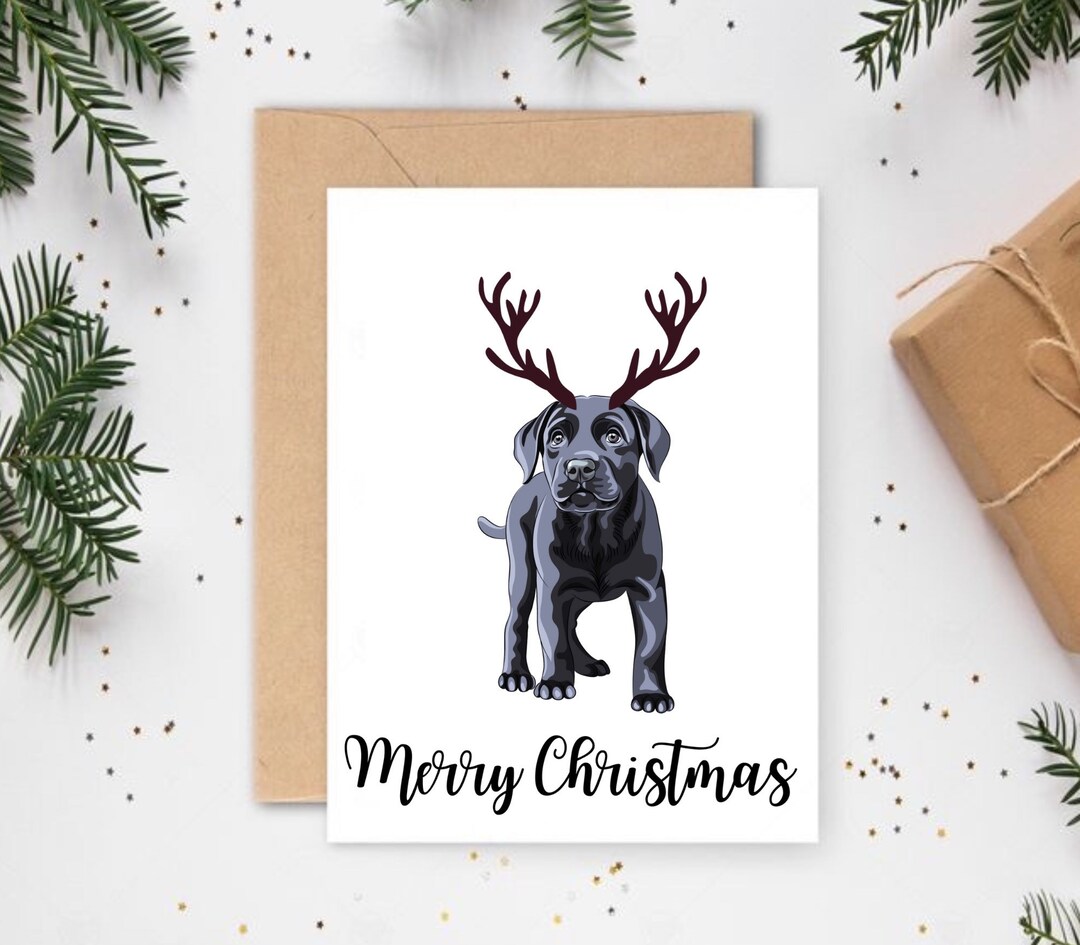 Dog Xmas Card | Custom Made Xmas Cards | Cards for Dog Lovers | Cards ...
