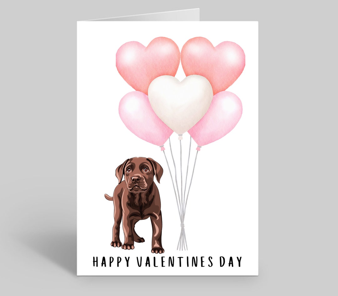 Brown Labrador Valentines Cards, Chocolate Labrador Valentines Cards ...
