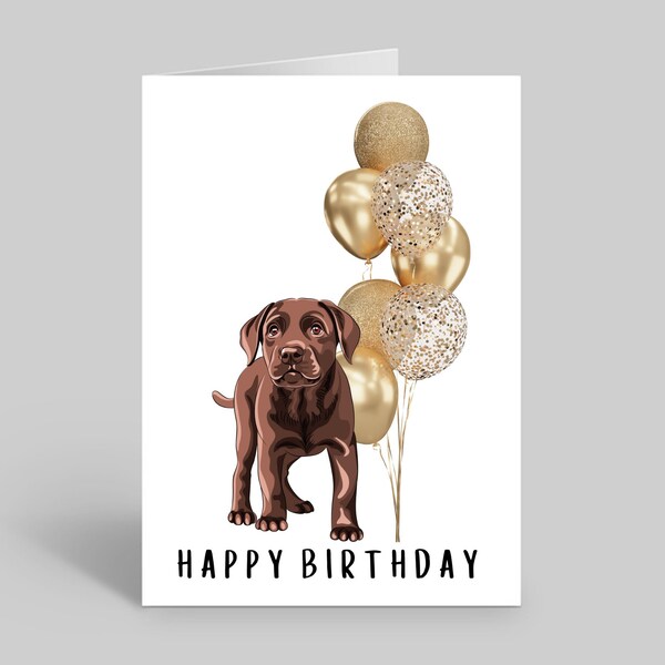 Chocolate Lab Birthday Cards - Etsy