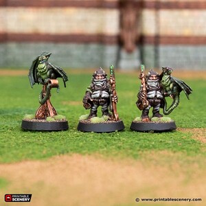 Dragon Handler Dwarf Dnd Miniature Terrain Set Resin - Etsy