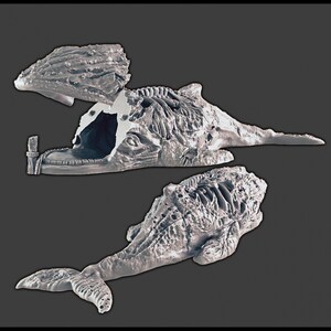 Massive Whale Corpse Dnd Terrain for Dungeons and Dragons Terrain, D&D ...