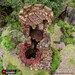 Hagglethorn Hollow Rickety Platforms Dnd Miniature Terrain for - Etsy
