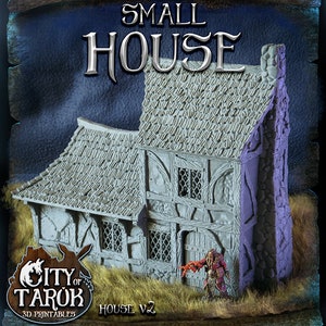 Small House Dnd Miniature Terrain 15mm 28mm 32mm | D&D, Dungeons and ...