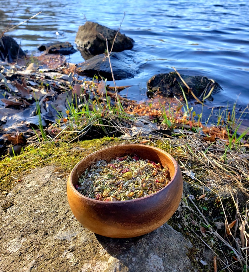 SLUMBERING FOREST ~ Organic Herbal Tea ~ Relaxation, Sleep and Dream ...