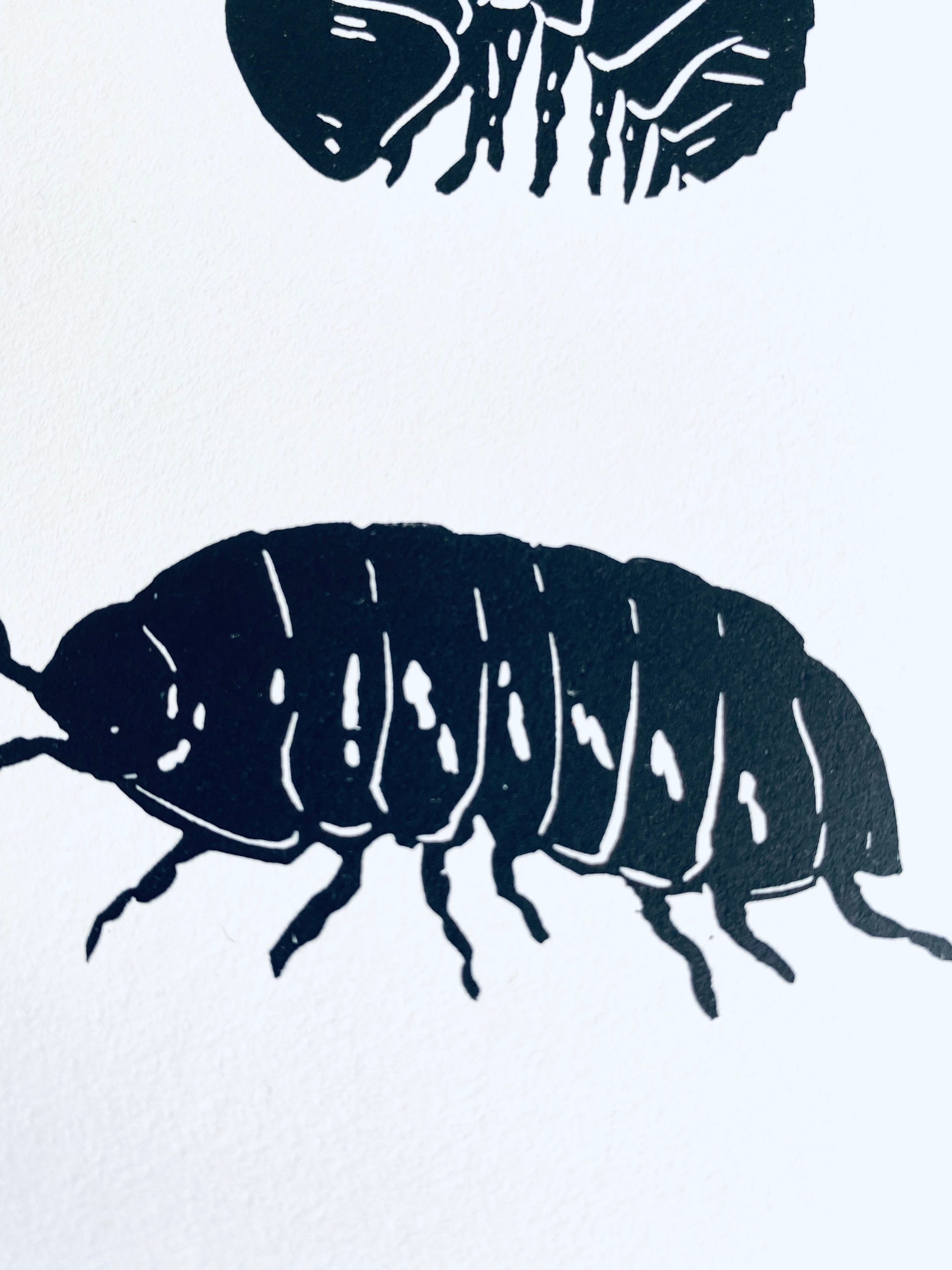 Woodlouse Linocut Print-insect Print-pill Bug Print-nature - Etsy