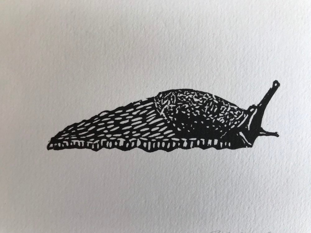 Pet Portraits Urns & Memorials Pet Supplies Linoprint Slug etna.com.pe