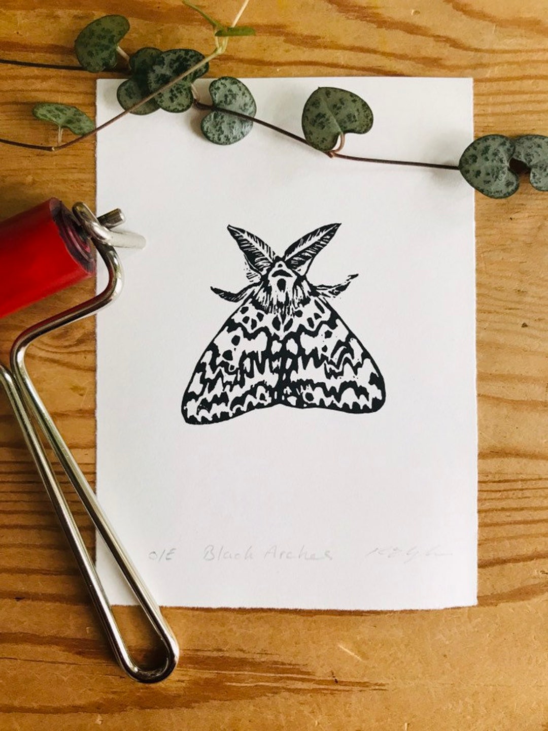 Moth Linocut Print-insect Print-nature Art-wall Decor-wildlife Print ...