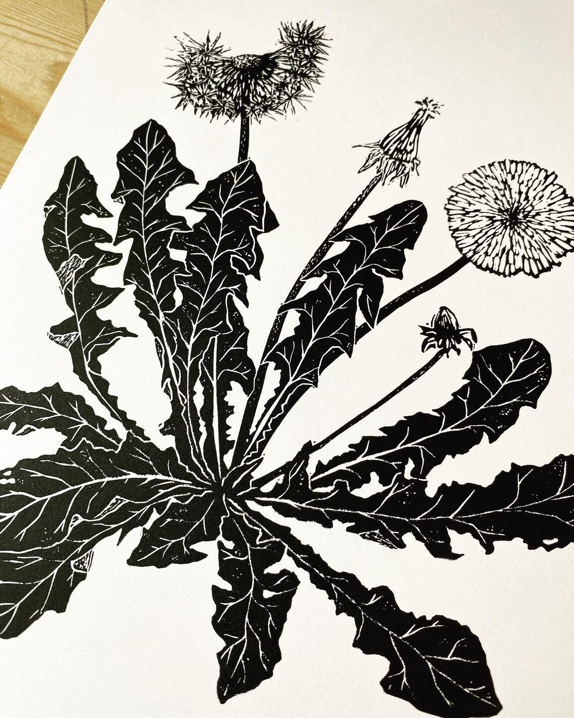 Dandelion Linocut Print-dandelion Clock Print-botanical Art-nature ...