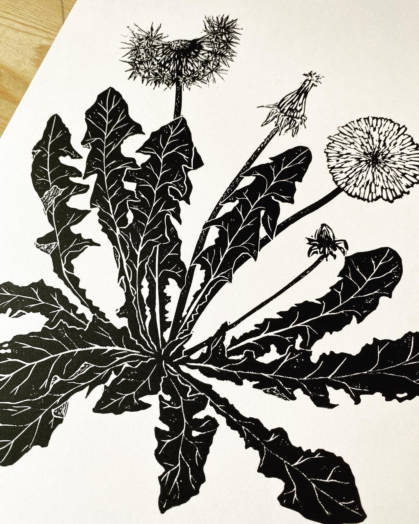 Dandelion Linocut Print-dandelion Clock Print-botanical Art-nature ...