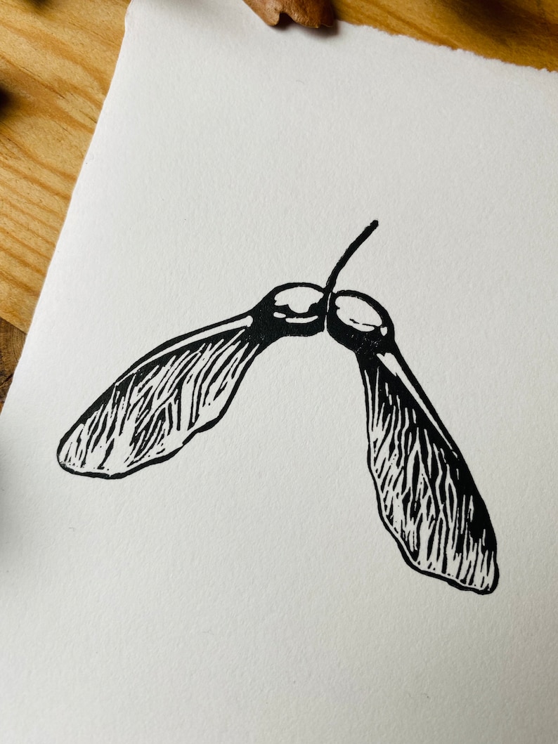 Sycamore Seed Linocut Print-seed Print-nature Art-wall Decor-botanical ...