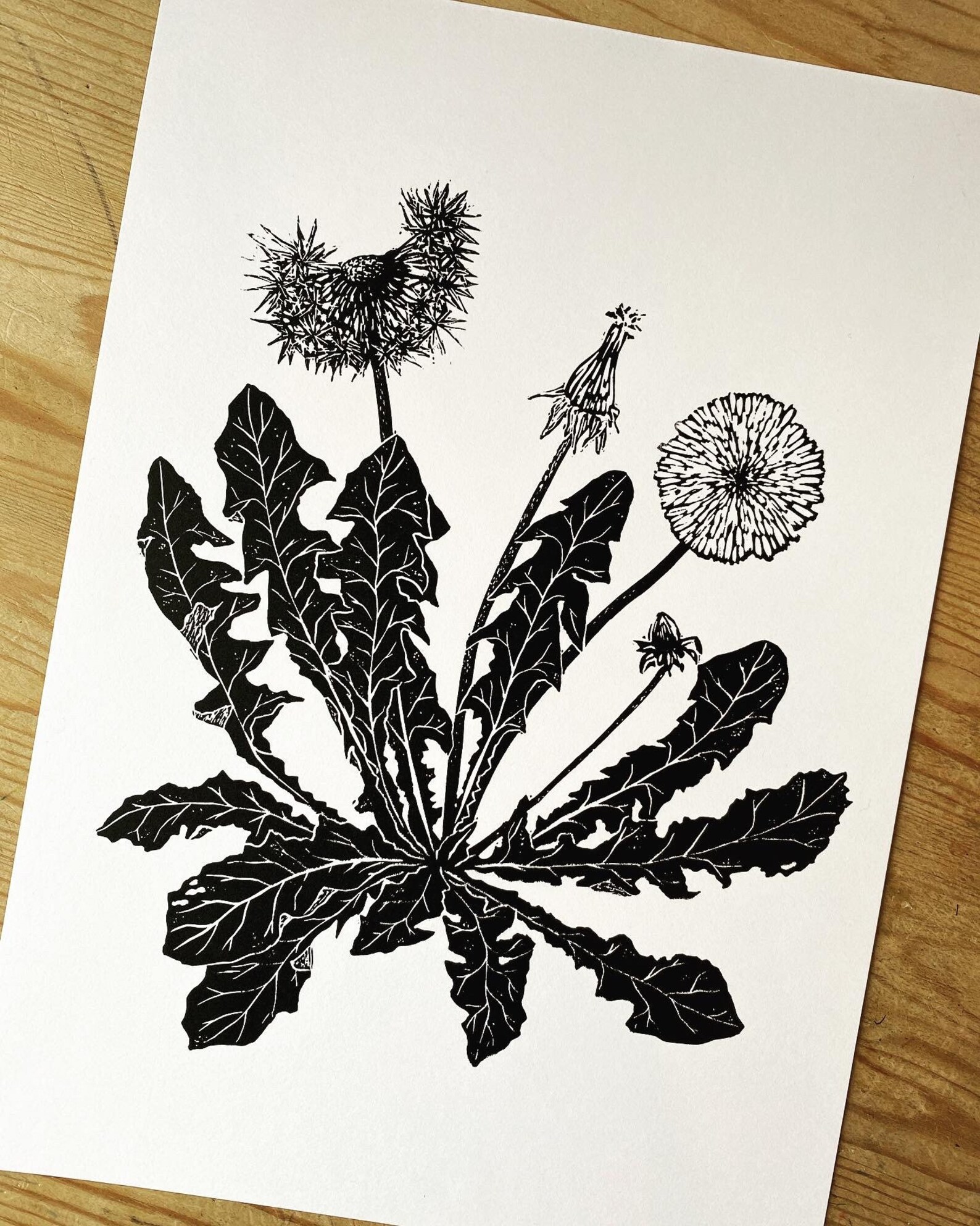 Dandelion Linocut Print-dandelion Clock Print-botanical Art-nature ...