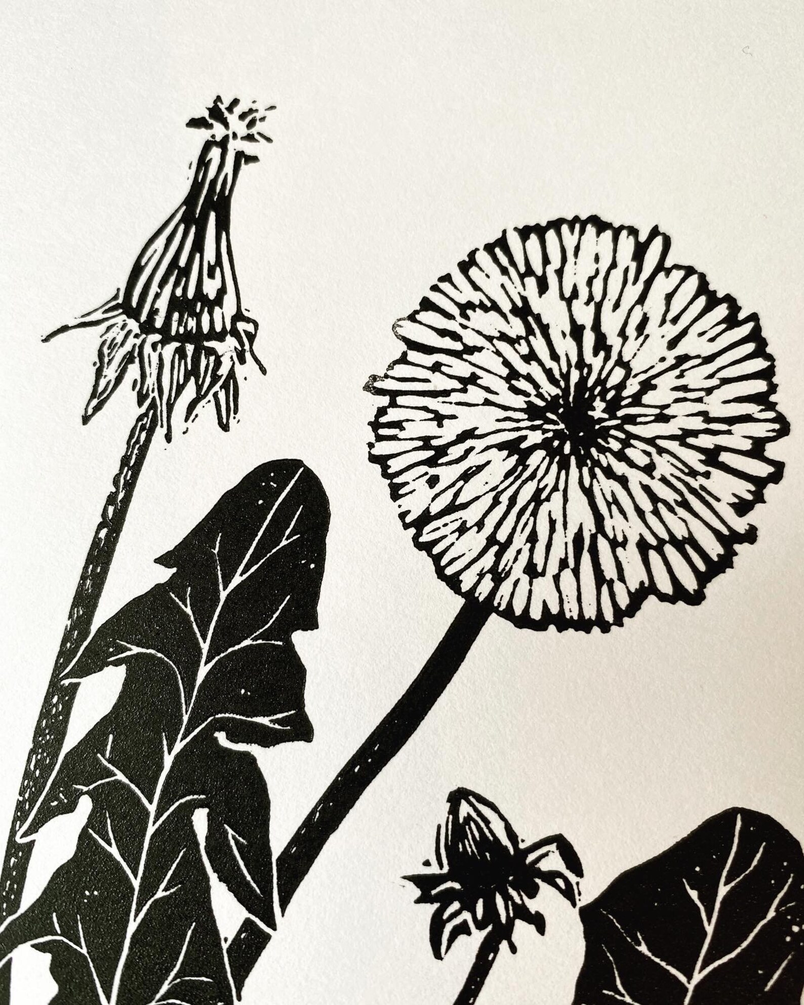 Dandelion Linocut Print-dandelion Clock Print-botanical Art-nature ...