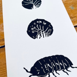 Woodlouse Linocut Print-insect Print-pill Bug Print-nature Art-wall ...