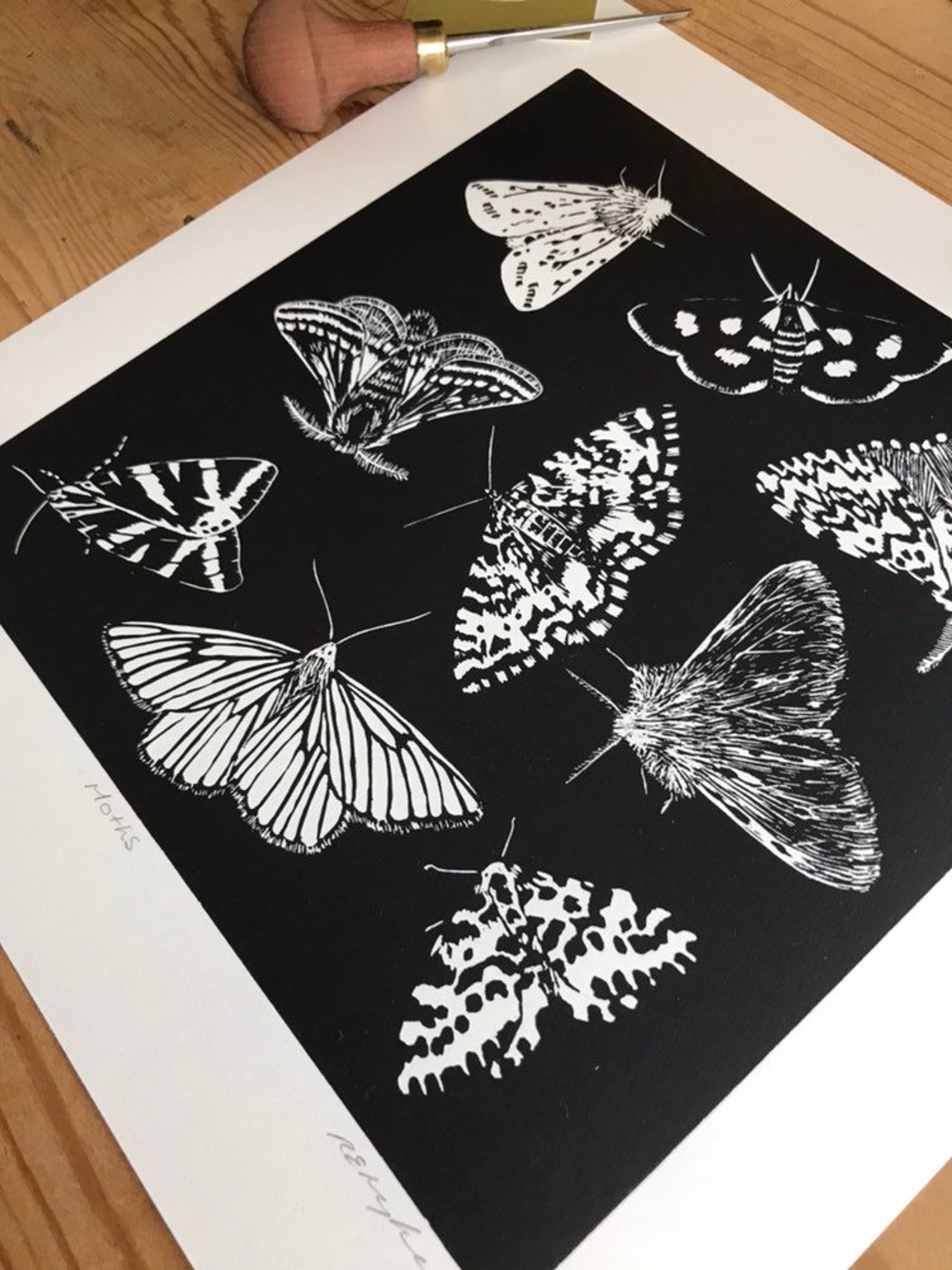 Moth Linocut Print-moth Print-insect Print-wall Decor-wildlife Art ...