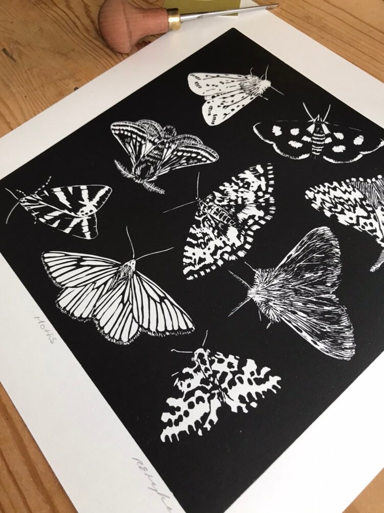 Moth Linocut Print-moth Print-insect Print-wall Decor-wildlife - Etsy