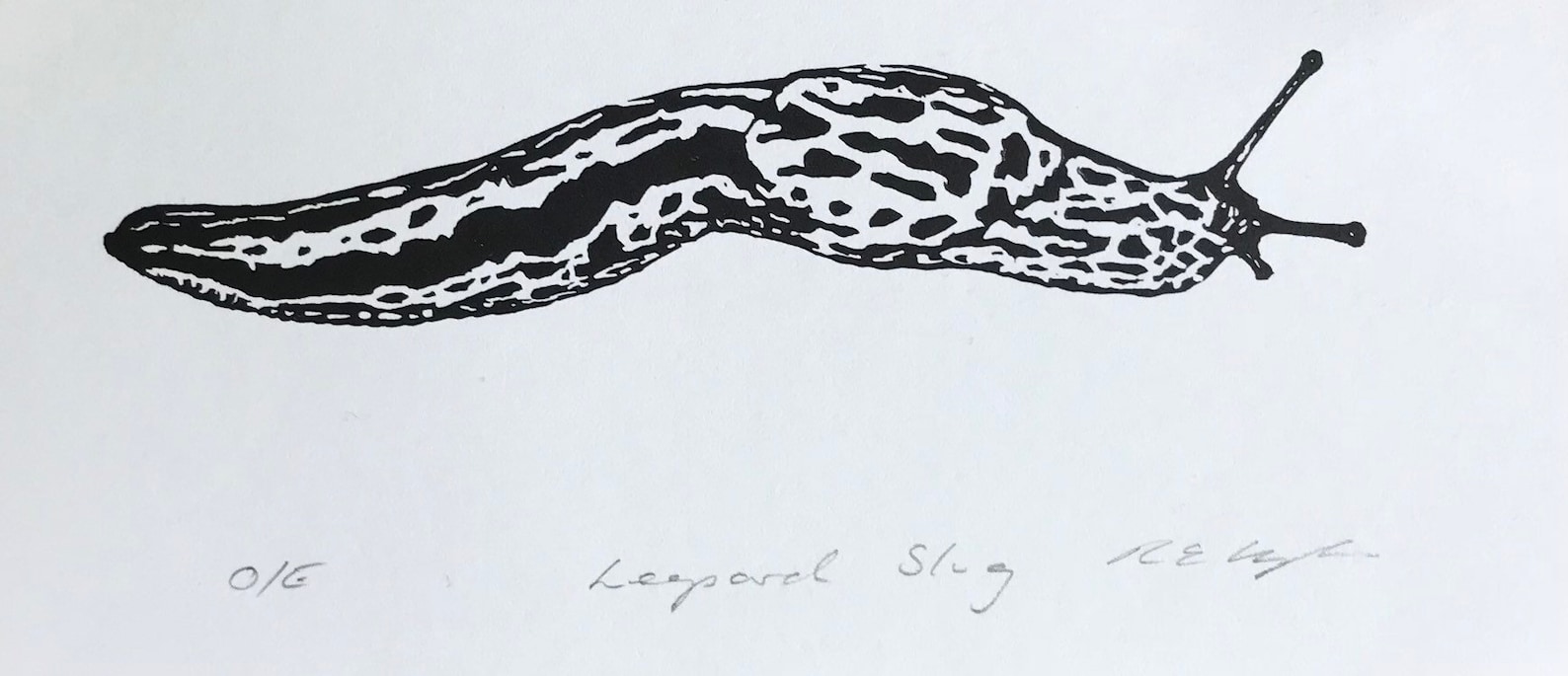 Slug Linocut Print-insect Print-animal Print-nature Art-wall - Etsy