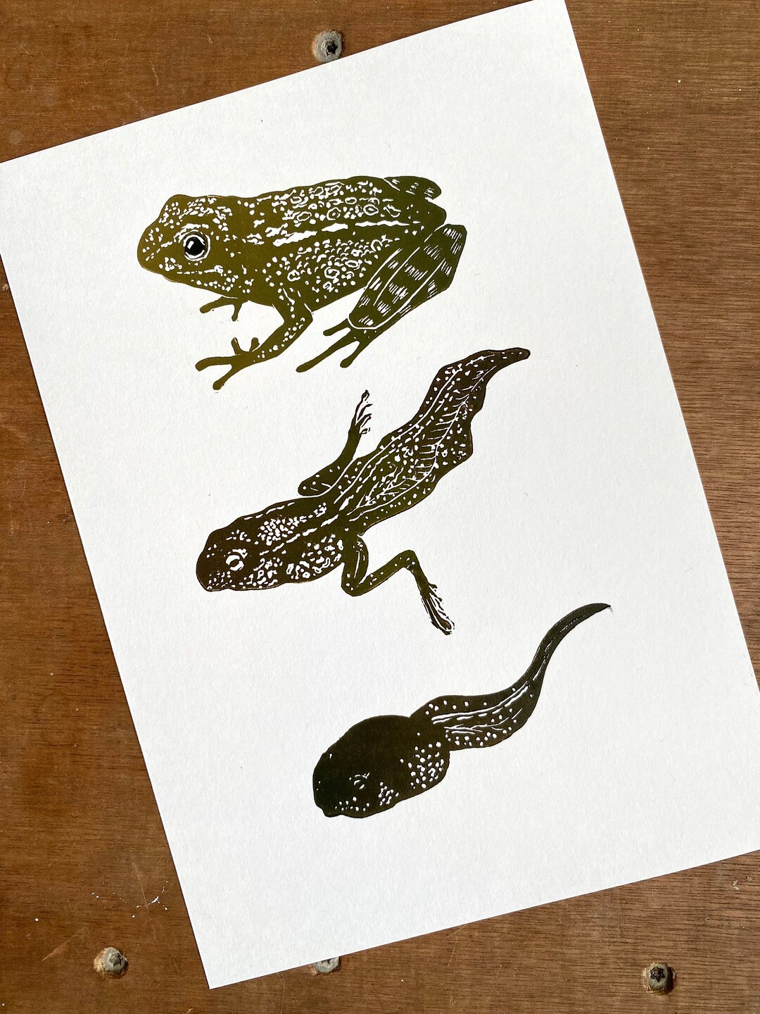 Frog Linocut Print-tadpole Print-frog Art-nature Print- Amphibian ...