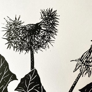 Dandelion Linocut Print-dandelion Clock Print-botanical Art-nature ...