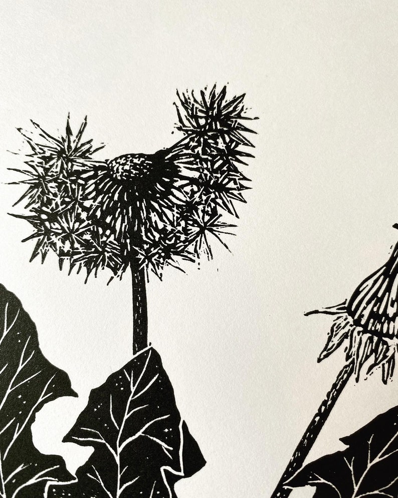 Dandelion Linocut Print-dandelion Clock Print-botanical Art-nature ...