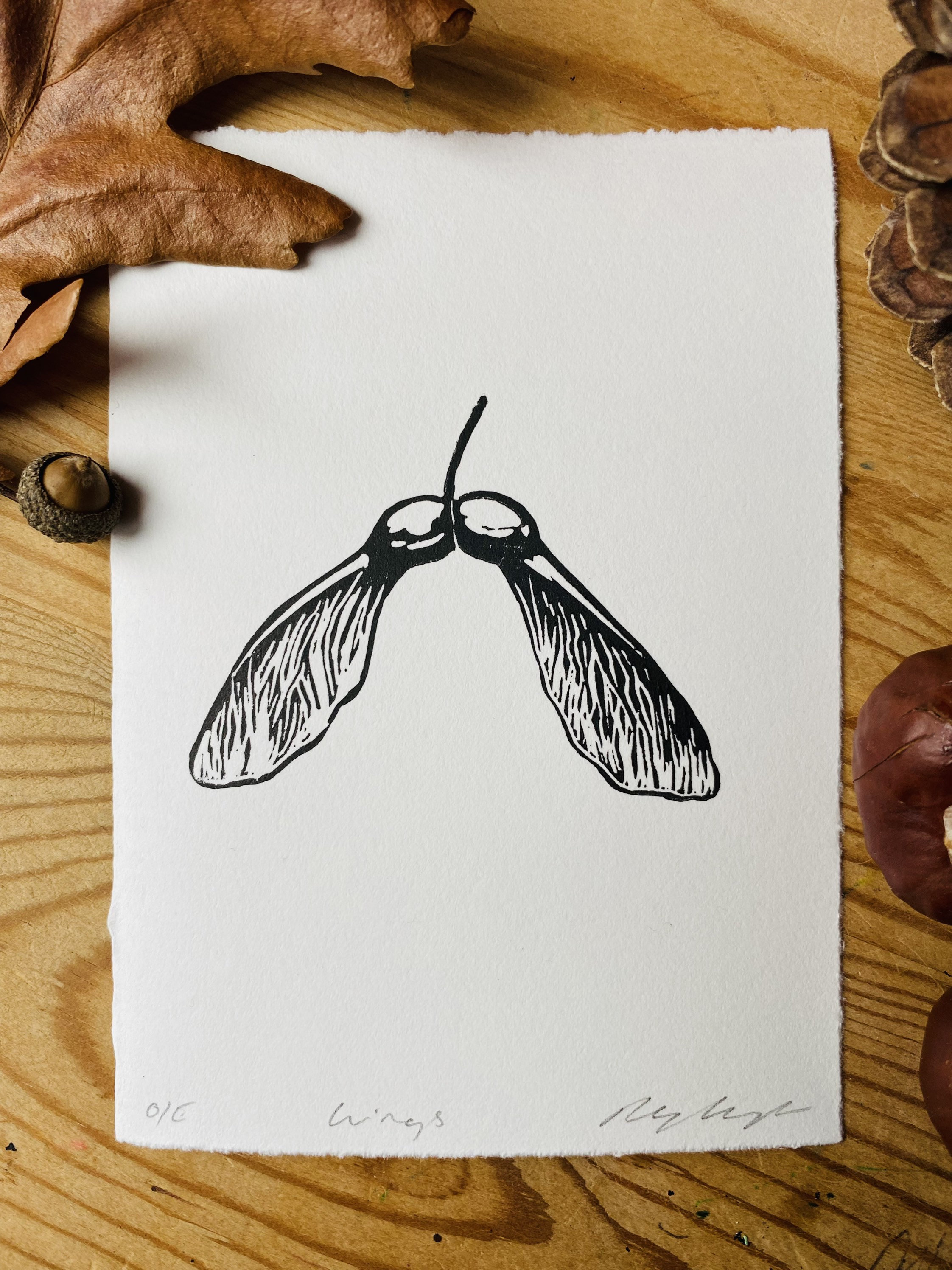 Sycamore Seed Linocut Print-seed Print-nature Art-wall Decor-botanical ...