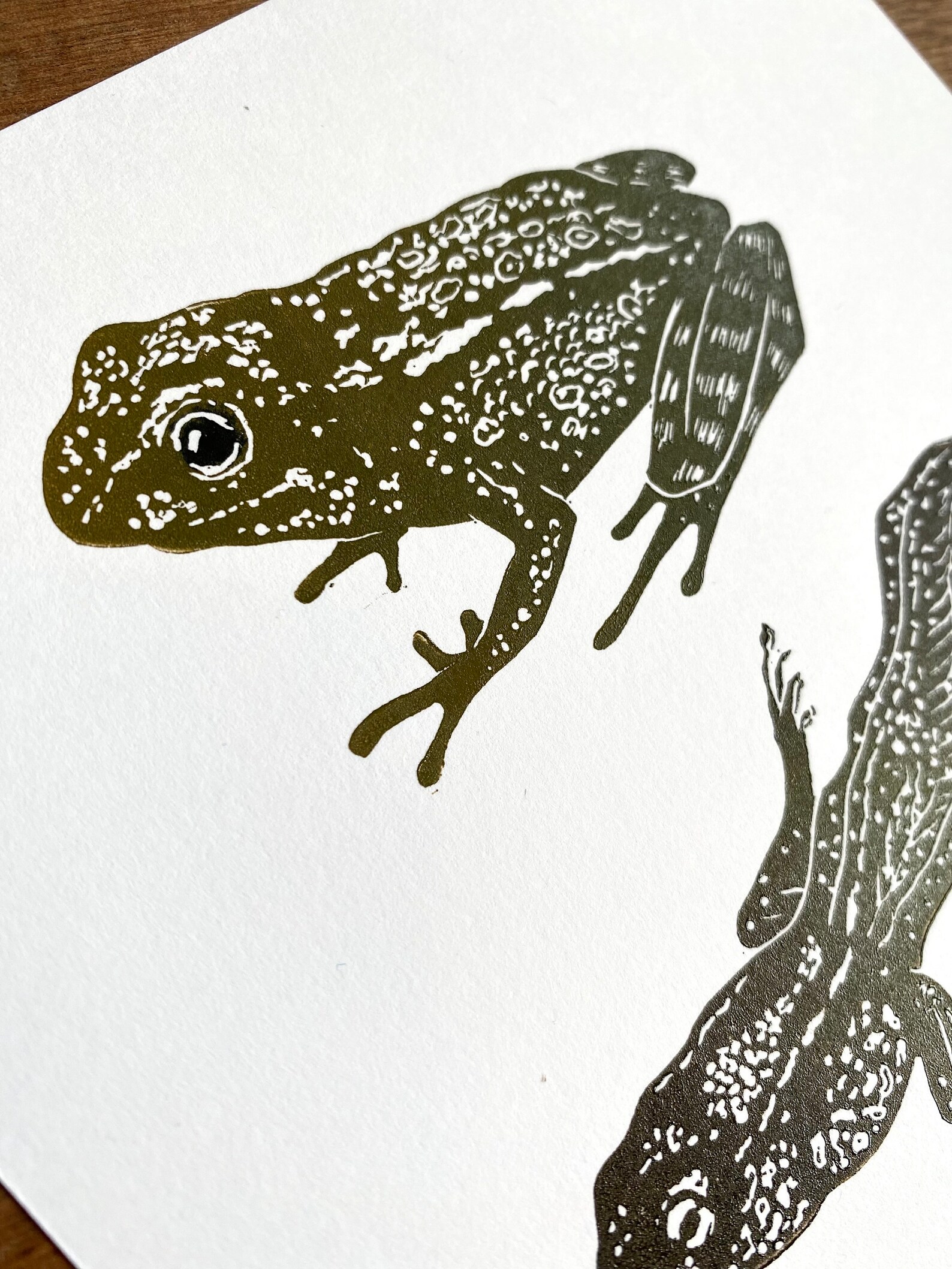 Frog Linocut Print-tadpole Print-frog Art-nature Print- Amphibian ...
