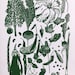 Vegetables Linocut Print-garden Vegetable Print-garden Art-grow Your ...