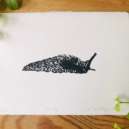 Snail Linocut Print-animal Print-nature Art-wall - Etsy UK