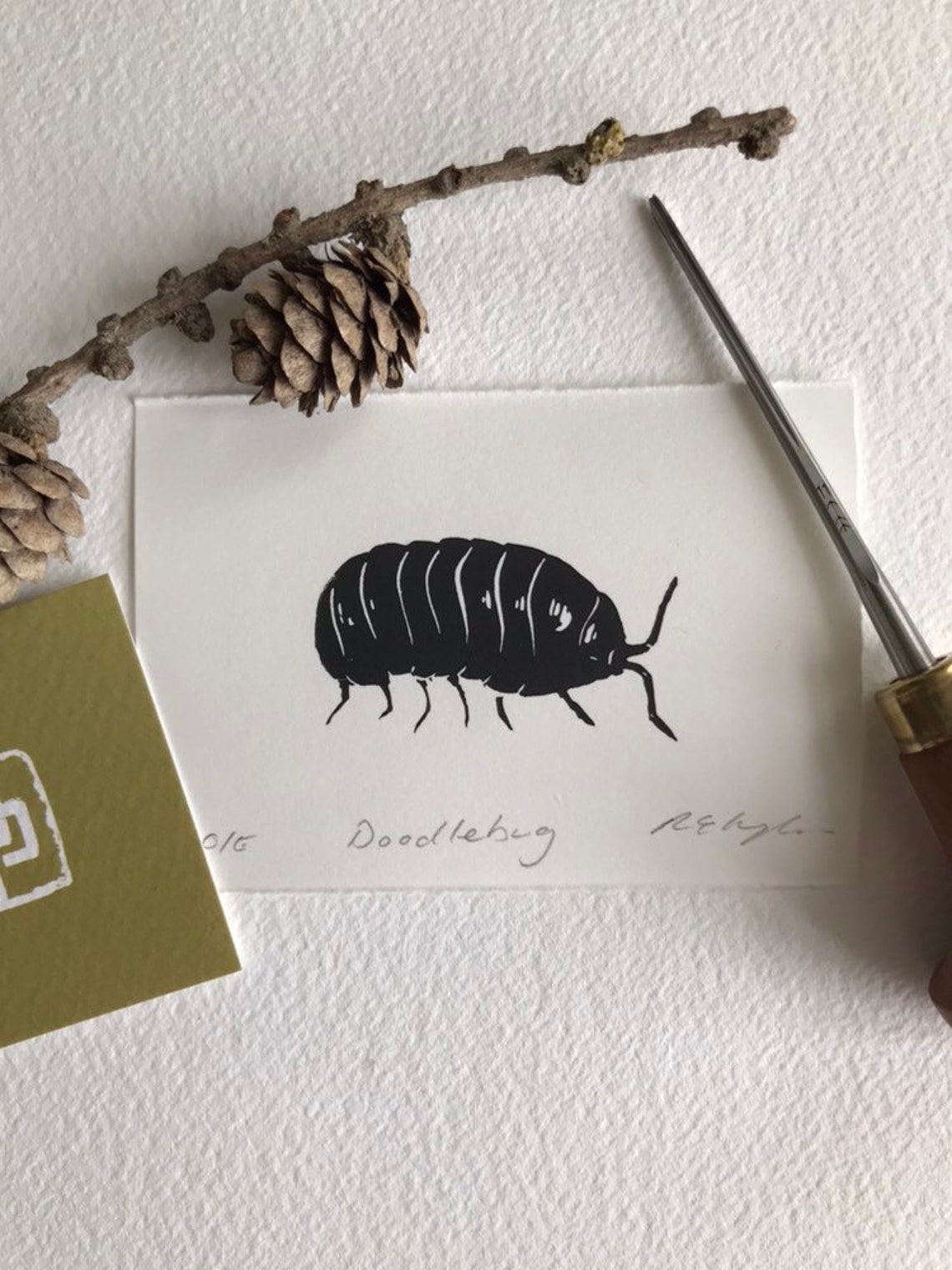 Woodlouse Linocut Print-insect Print-pill Bug Print-nature - Etsy UK