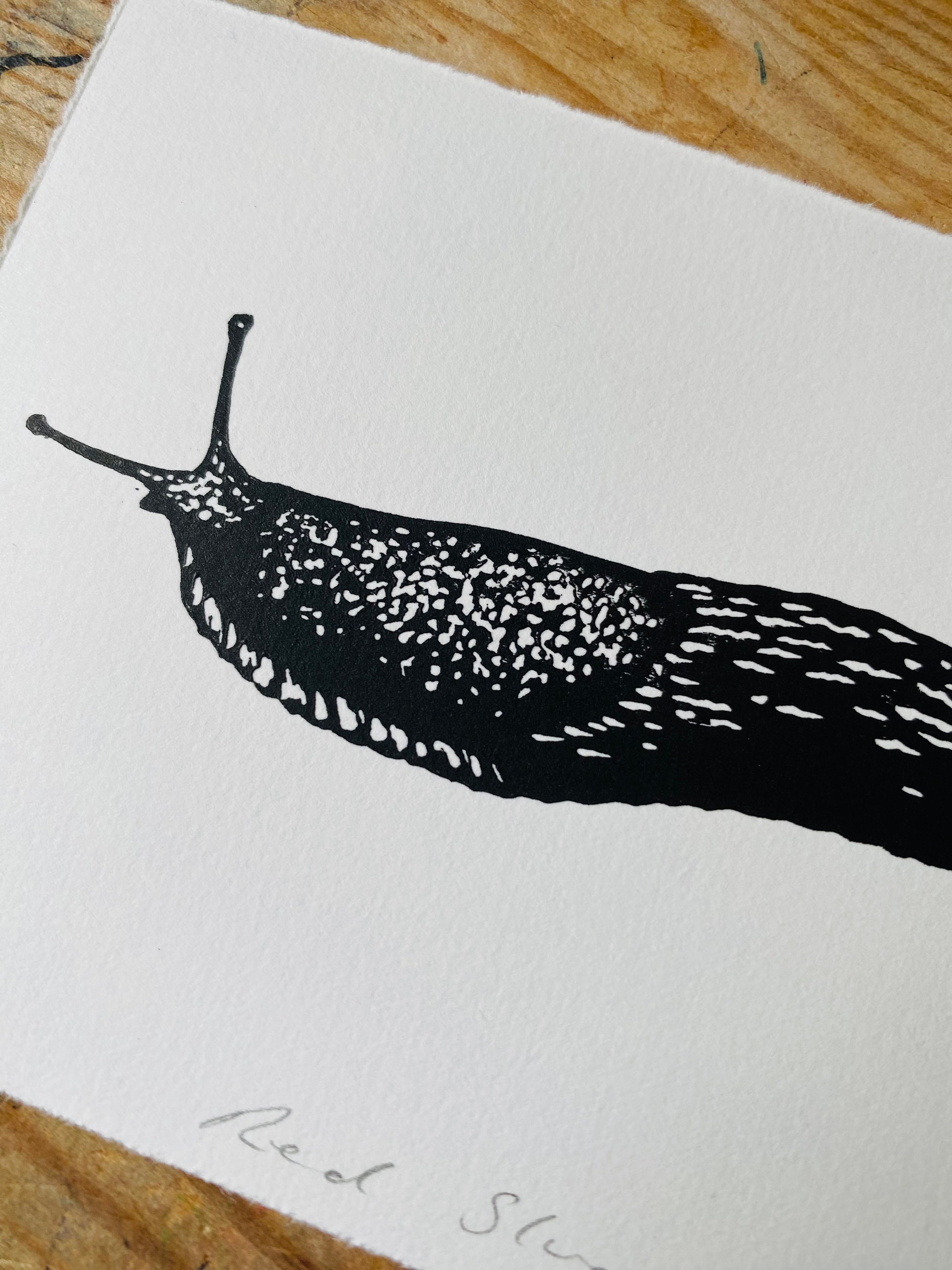Slug Linocut Print-animal Print-nature Art-wall Decor-wildlife - Etsy