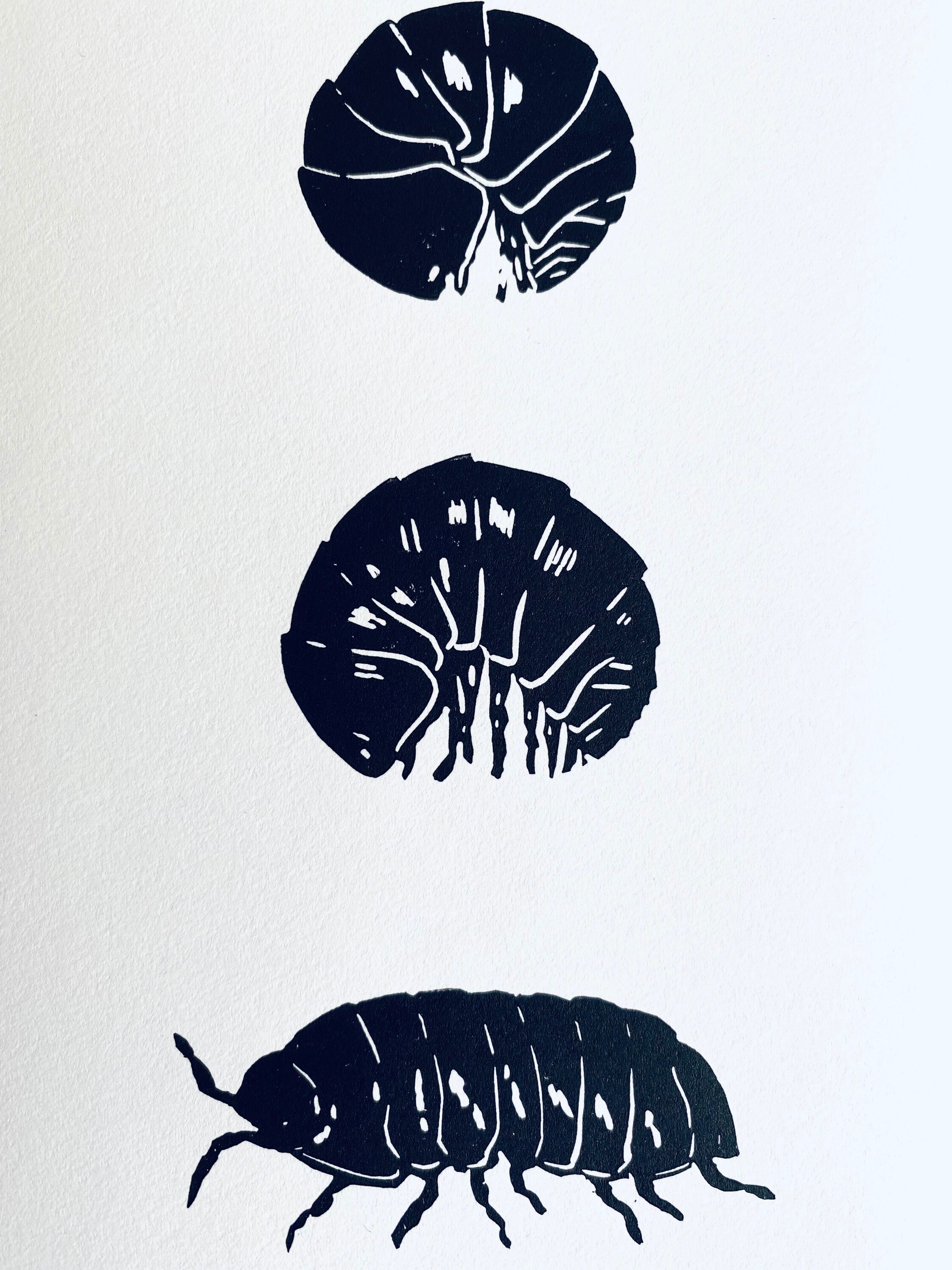 Woodlouse Linocut Print-insect Print-pill Bug Print-nature Art-wall ...