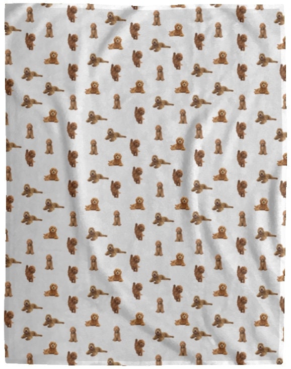 Labradoodle Blanket and Throw Labradoodle Comfy Fleece and | Etsy