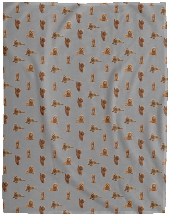 Labradoodle Blanket and Throw Labradoodle Comfy Fleece and | Etsy