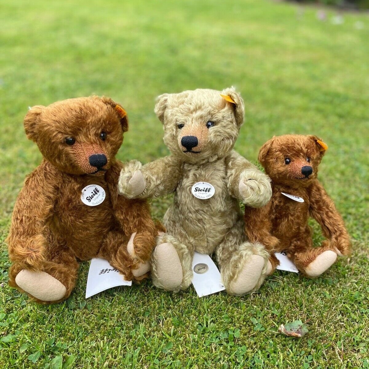 Steiff Classic 1905 Chestnut Colour, EAN 004865 - Etsy