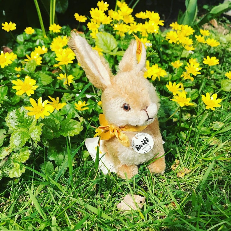 Steiff Dormili Rabbit Gold, Sitting EAN 076619 - Etsy
